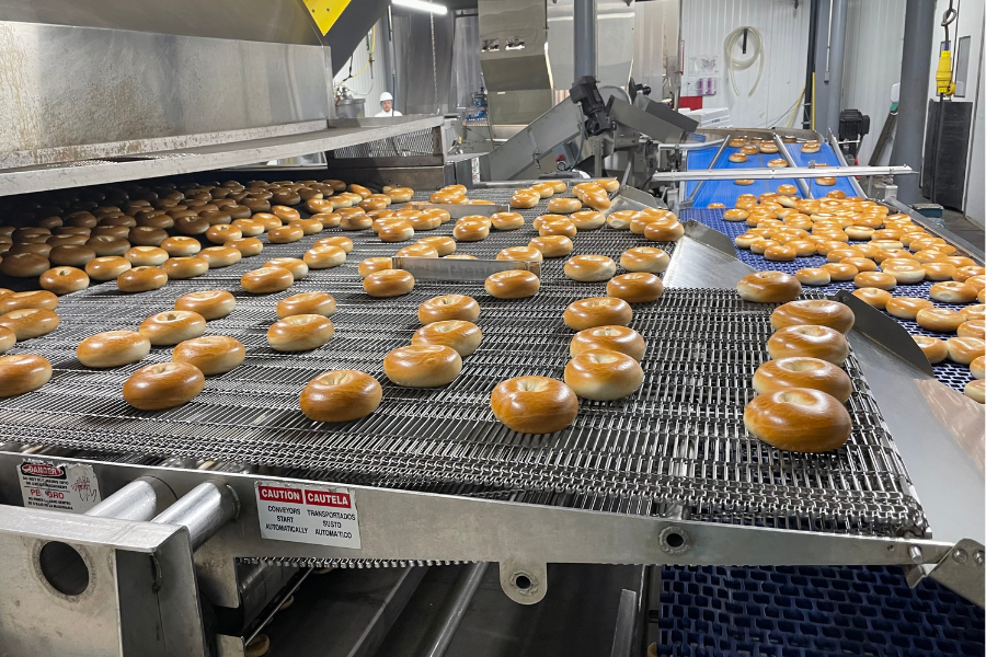 [White Paper] Conveyor Belts for the Food Industry's Toughest Applications